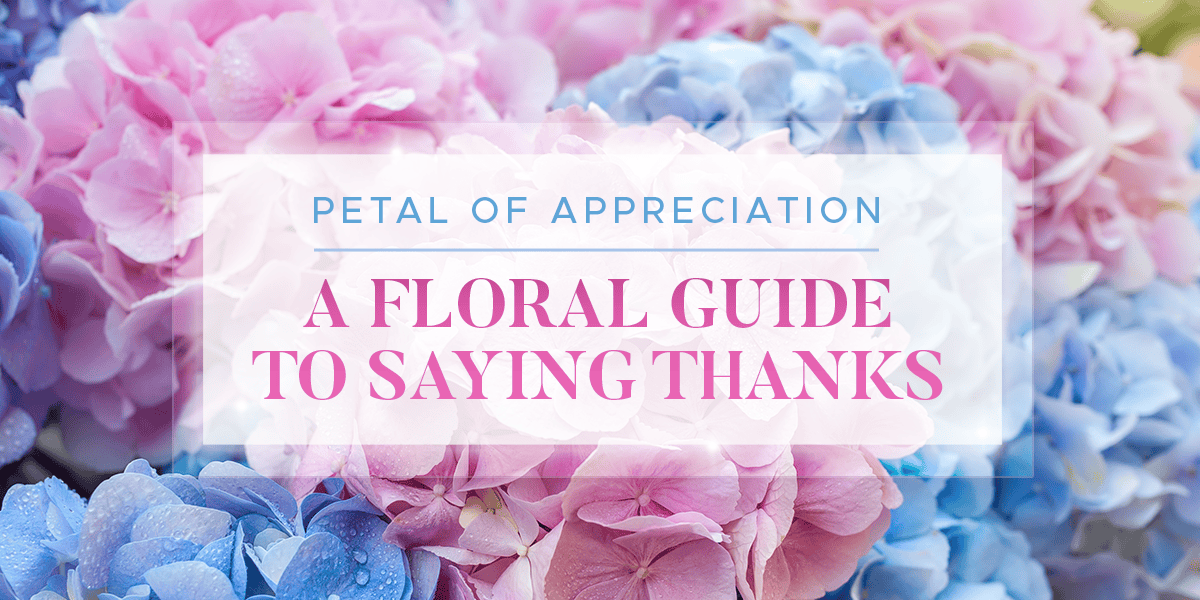 Grateful Gestures: Choosing the Right Flowers for a Bouquet of ...